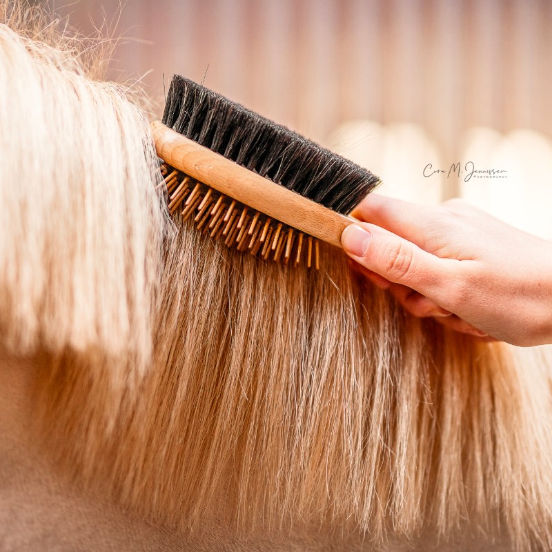 Cepillo doble cola y crines B&E KämmLotte