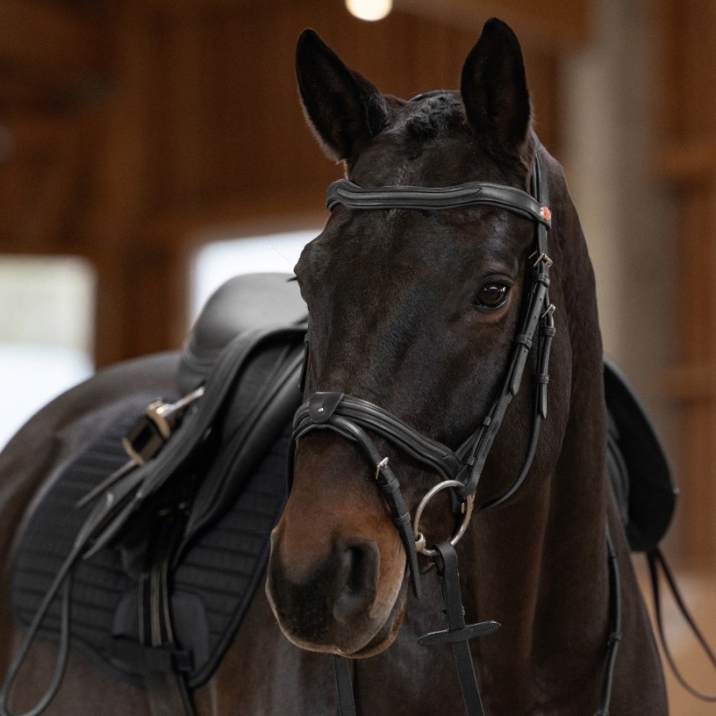 Cabezada para filete Kieffer Palmanova